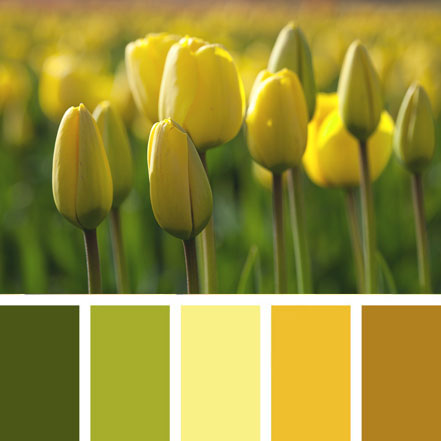 Basket Arrangements - The Flower Company Florist Inverness