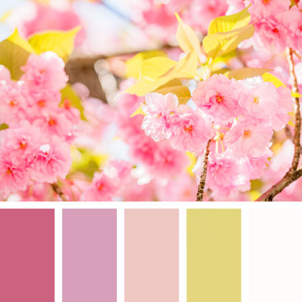 Basket Arrangements - The Flower Company Florist Inverness