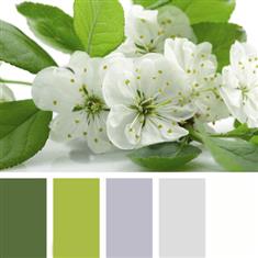 Cool Green & White Container The Flower Company Florist Inverness