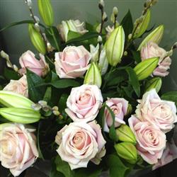 Roses and Lilies The Flower Company Florist Inverness
