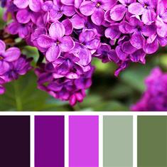 Violet Hand-tied The Flower Company Florist Inverness